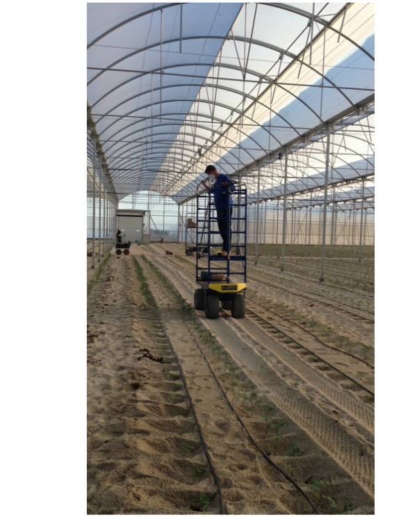 ΗΛΕΚΤΡΙΚΟ ΑΝΑΒΑΤΟΡΙΟ ΘΕΡΜΟΚΗΠΙΟΥ MAEL01 | Shopaholic